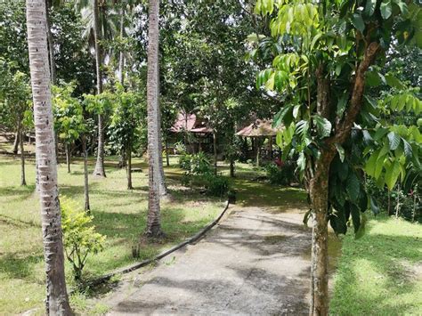 54 Hectares Agricultural Farm For Sale In Lipa Batangas Lots 🚜 July