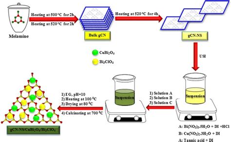 Schematic Presentation For The Procurement Procedure Of The Download Scientific Diagram