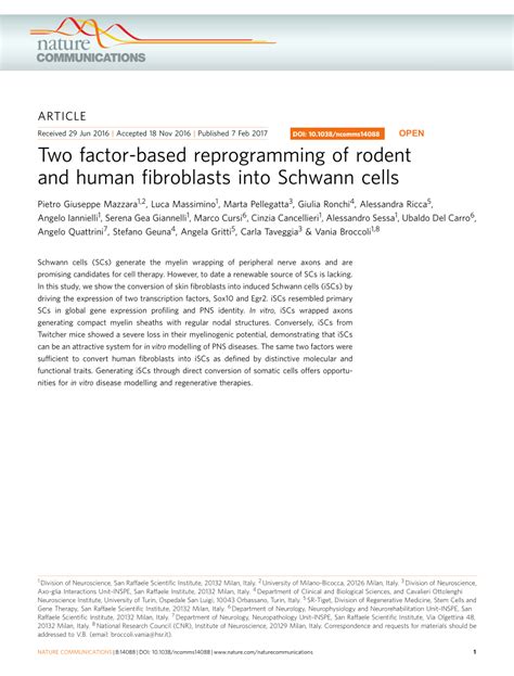 Pdf Two Factor Based Reprogramming Of Rodent And Human Fibroblasts Into Schwann Cells