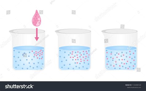 Water Diffusion Vector
