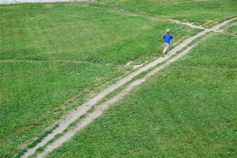 картинки трава лужайка луг прерия бег Зеленый Пастбище почва Ребенок сельское