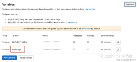 极狐gitlab ci cd 变量黑魔法之自定义变量 极狐gitlab devops segmentfault 思否