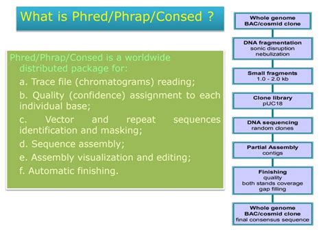 Sequence Assembly Pptx
