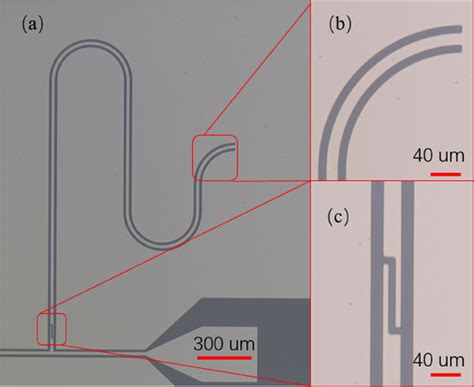 Optical Photos Of Resonator Structure A Resonator Sample B Ground Download Scientific Diagram