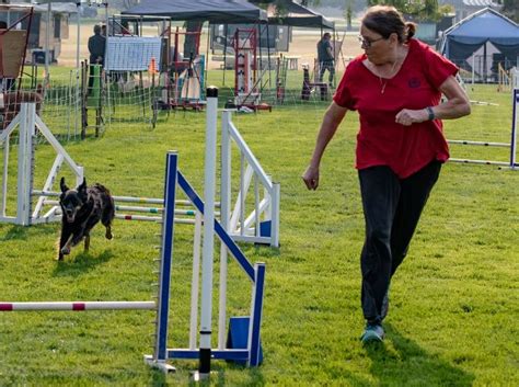 AKC Agility League Spotlight American Kennel Club