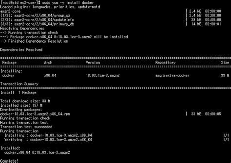 Amazon Linux 2 に Docker をインストールする Sidfm Vm ユーザガイド