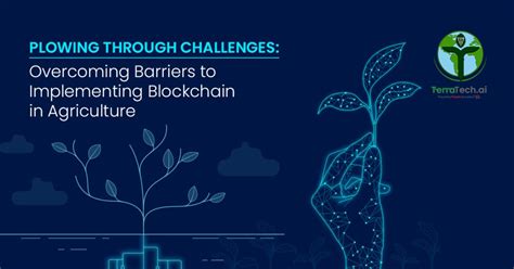 Blockchain In Agriculture Challenges Solutions Simplified