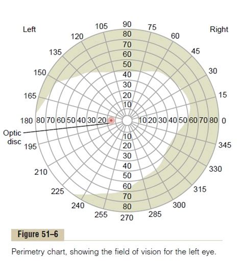Fields Of Vision Perimetry