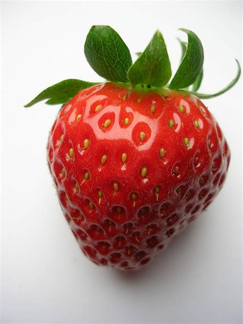 Bilder Bibliothek Erdbeeren
