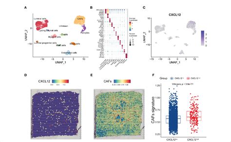 combined analysis of snrna seq and spatial transcriptomics reveals the