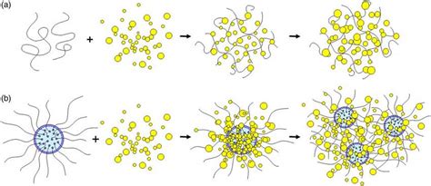 Flocculation Process Of Commercial Anionic Flocculant A And