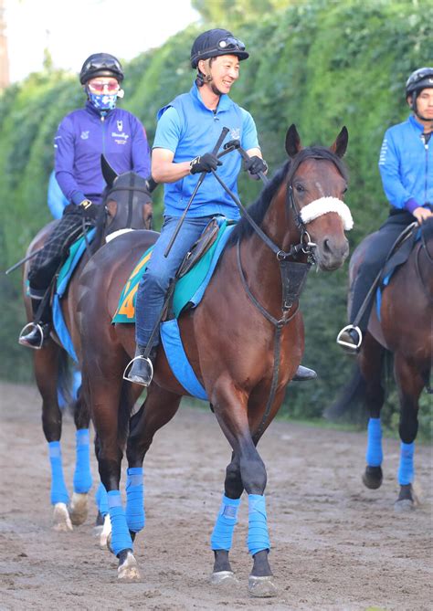 【pog】好素材シャンドゥレールは札幌2歳sでタイトル狙う スポーツ報知