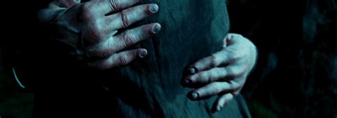 Remus Lupin Werewolf  Remus Lupin S Tenor