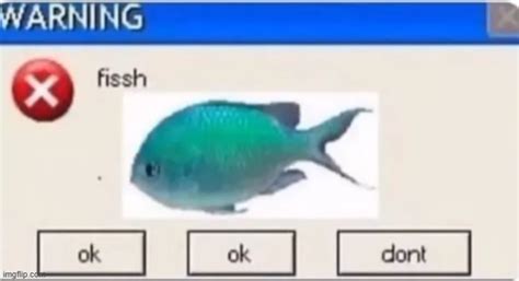 Fih Imgflip