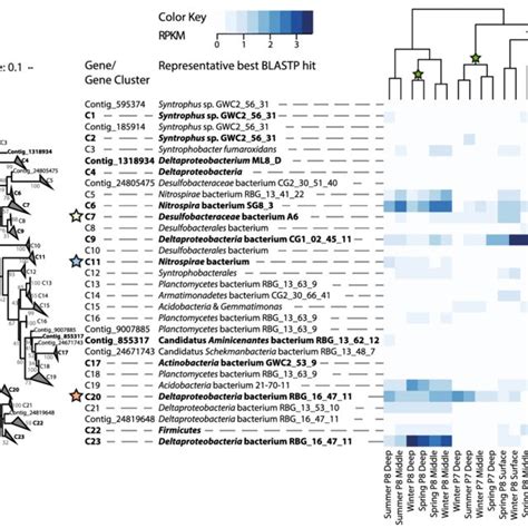 Sulfur Iodine Cycle Download Scientific Diagram