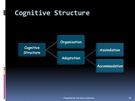 Cognitive Structure Organisation Cognitive Assimilatio… Cognitive