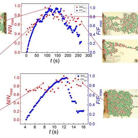 In Order To Capture How The Number Of Aligned Ants N Is Correlated With Download Scientific