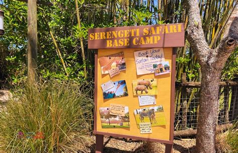 Serengeti Flyer The Most Thrilling Ride At Busch Gardens Tampa