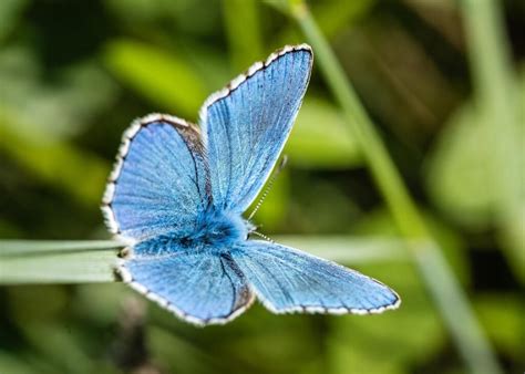 Understanding Biodiversity Loss And Its Devastating Consequences The