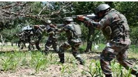 जंगल में Ssb के जवान कर रहे थे अभ्‍यास गोलियों के खोखे बटोरने गए 10
