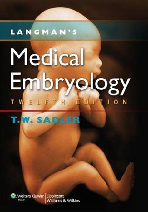 Langman S Medical Embryology Ebook T W Sadler 9781469816661