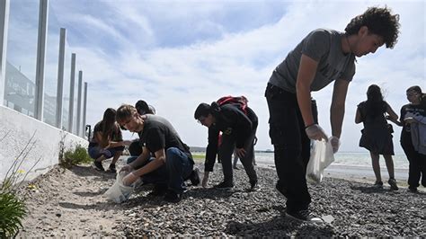 Convocan A Voluntarios Para Limpiar Las Playas De Madryn