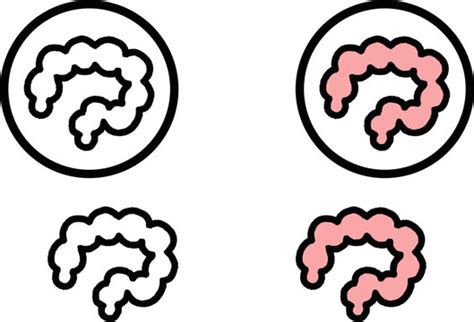 Annexe De Taenia Coli