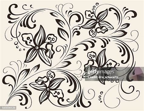 Orchid Line Drawing Photos And Premium High Res Pictures Getty Images