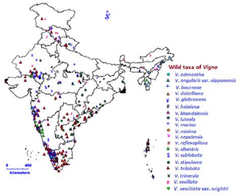 Spatial Distribution Diversity Mapping And Gap Analysis Of Wild Vigna Species Conserved In