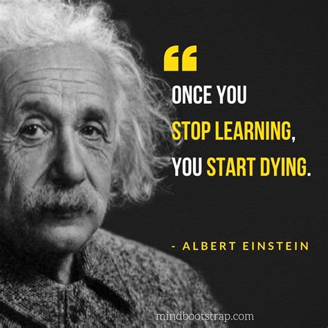 Albert Einstein Education Poster For Home Library Classroom Or Office