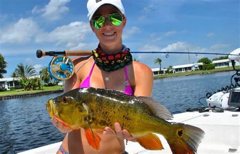 Tips For Successful Peacock Bass Fishing In Florida Salty Fresh