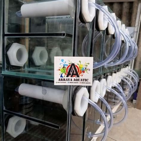 Jual Best Seller Box Overflow Aquarium Di Seller Aghanim Cengkareng Timur Kota Jakarta Barat Jual Best Seller Box Overflow Aquarium Di Seller Aghanim Cengkareng Timur Kota Jakarta Barat
