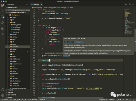 Vscode Go Goland