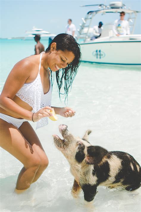 The Exumas Must Do Excursion When Visiting The Bahamas Artofit