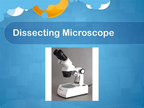 Common Lab Tools Of Biologists Ppt Download