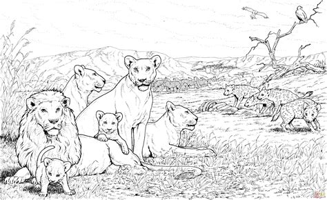 Dibujo De Manada De Leones Y Hienas Para Colorear Dibujos Para