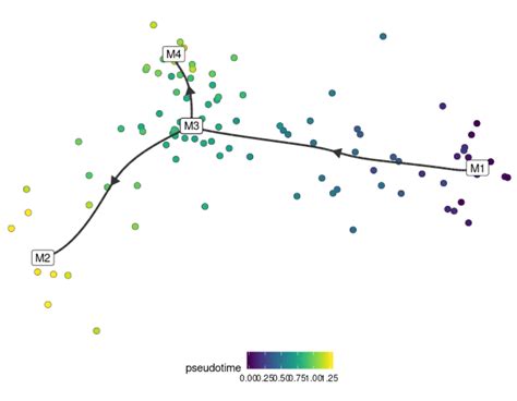 Pseudotime Calculation After Rooting Produces Inf Scores Issue Dynverse Dynwrap Github