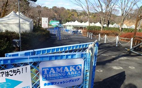 新年早々はタコリたく無いから、行った事のない管釣り「多摩湖フィッシングエリア」へ行ってみた Hermit Blog