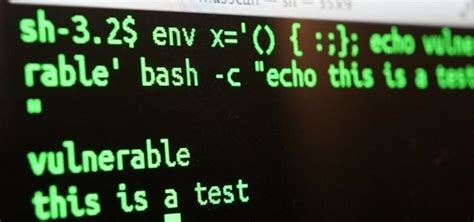 shellshock vulnerability