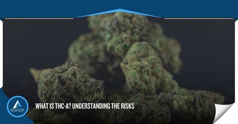 What Is Thc A And Is It Dangerous
