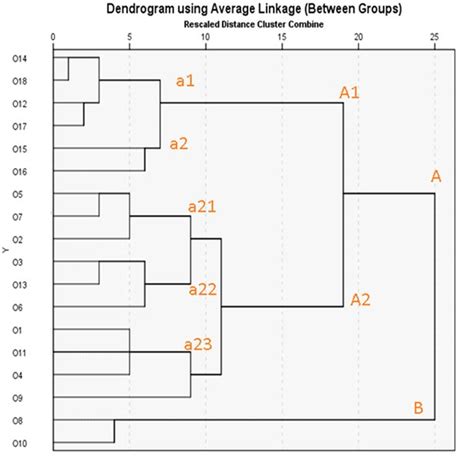 tree diagram of genetic relationships based on phenotypic traits among