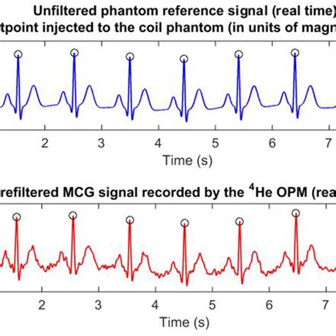 Comparison Of The Reference And Measured Real Time Signals A