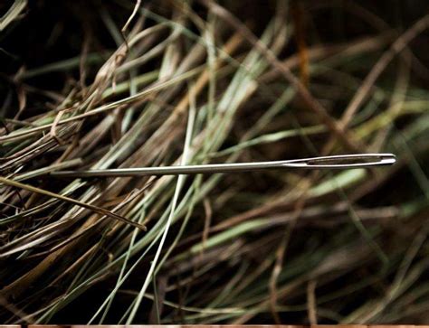 Virtual Screening Finding Needles In A Haystack On A Shoestring