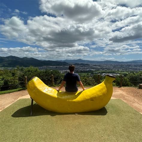 Drew Deihl Sensationalperb Musicboard