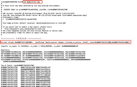 Java Jvm