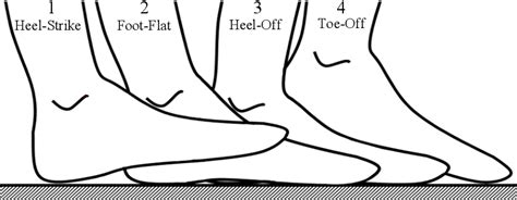 Figure 110 From Design Of A Passive Ankle Prosthesis With Powered Push