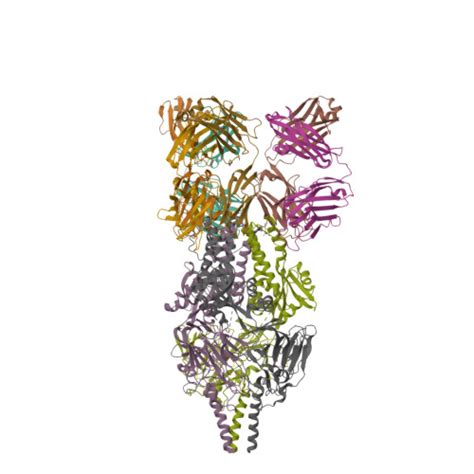 RCSB PDB 4JHW Crystal Structure Of Respiratory Syncytial Virus