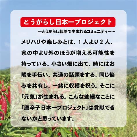 【楽天市場】業務用 からみ 九州とうがらし青一味50g 唐辛子 辛い 激辛 調味料 天日干し カレー キムチ 炒め物 和え物 鍋物 スープ料理 国産唐辛子 九州産とうがらし 九州産唐辛子 国産