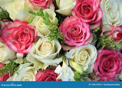 Imagen Flores Rosadas Y Blancas Spanish Abzlocal Mx