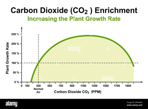 Carbon Dioxide Co2 Enrichment To About 1100 Parts Per Million In